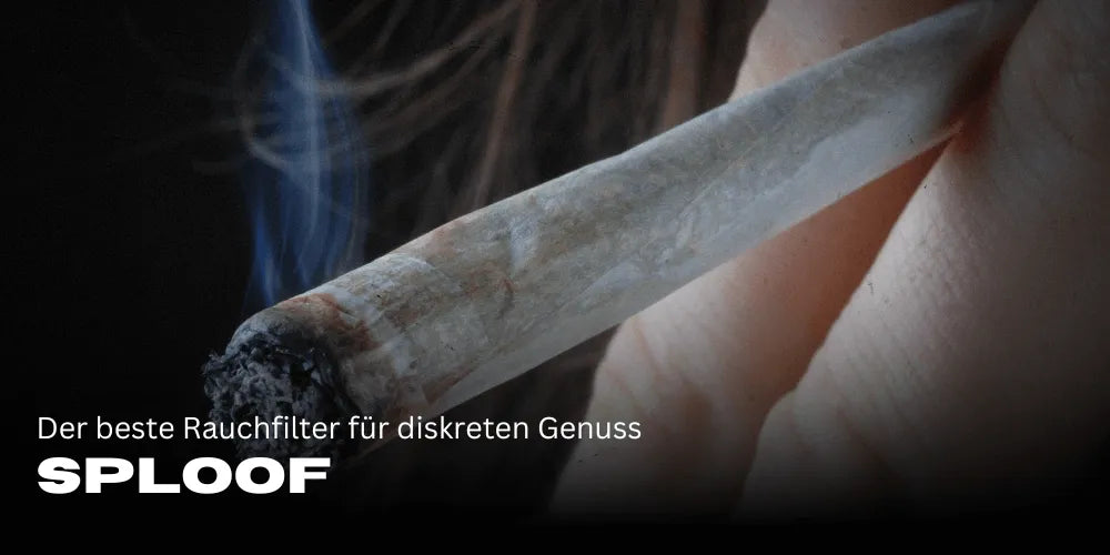 Sploof: Effektive Rauchfilter für diskreten Genuss 🌬️